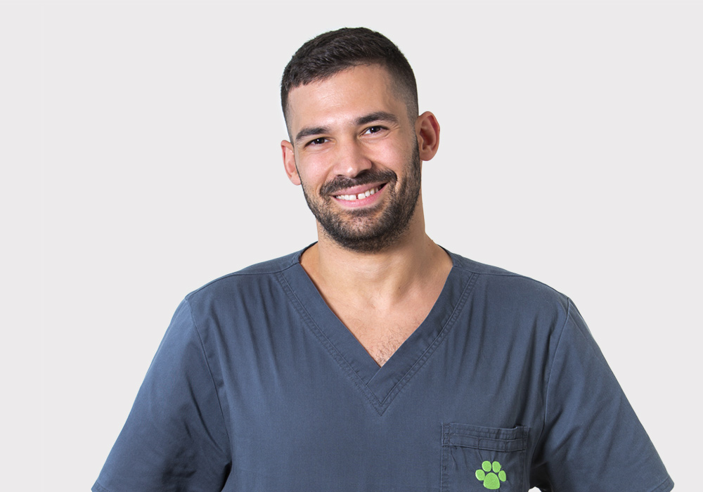 MANTZIOS STYLIANOS - Alphavet